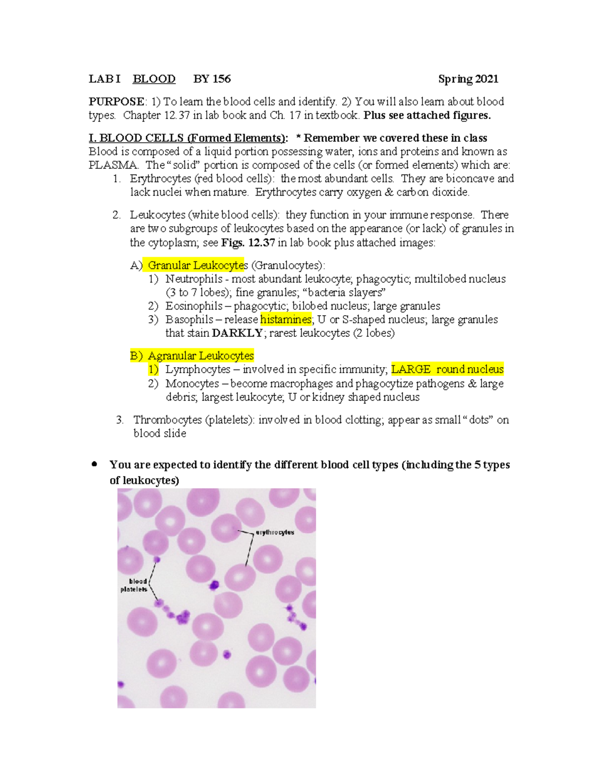 lab review note - LAB I BLOOD BY 156 Spring 2021 PURPOSE: 1) To learn ...