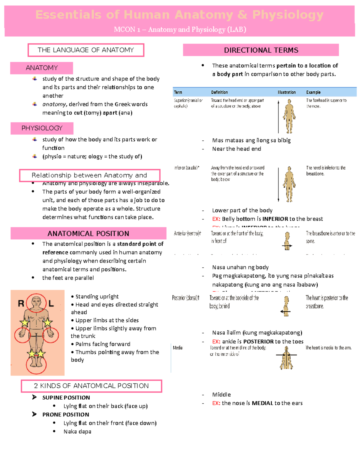 LAB- Anaphy - This transes is all about the human anatomy and ...