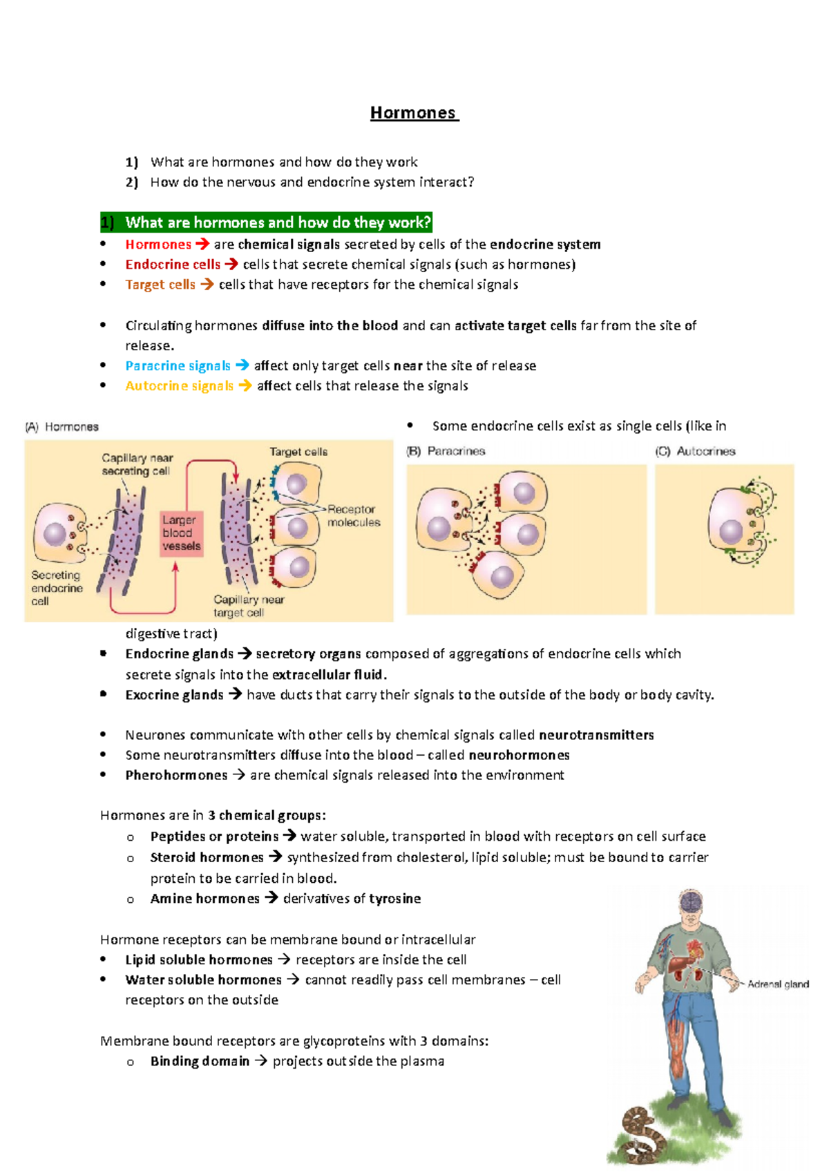 Lecture 1 - Hormones and their interactions - Hormones 1) What are ...