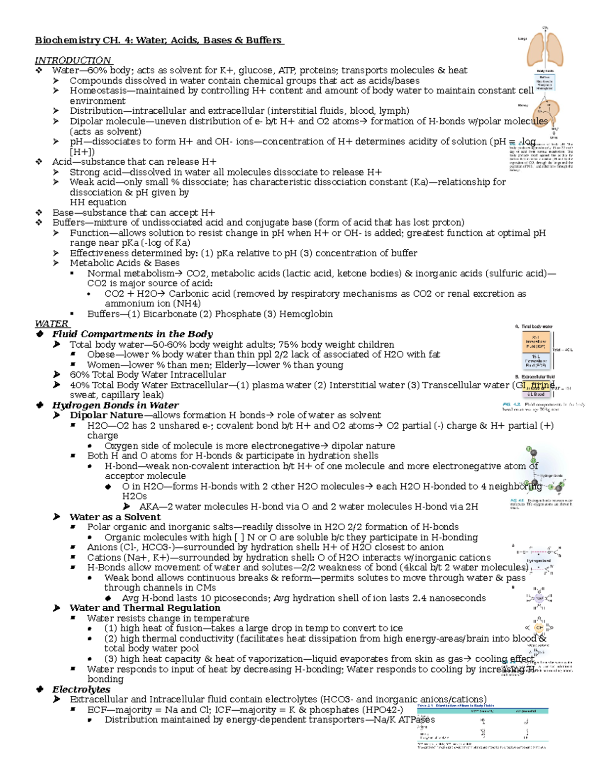 Biochemistry CH 04 Outline - Biochemistry CH. 4: Water, Acids, Bases ...