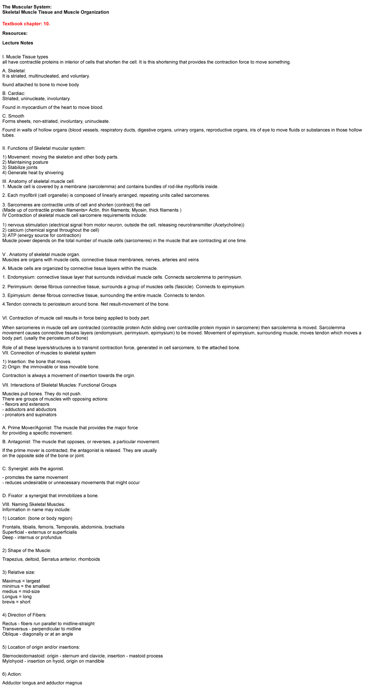 Lecture Notes Introduction to Muscular system - The Muscular System ...