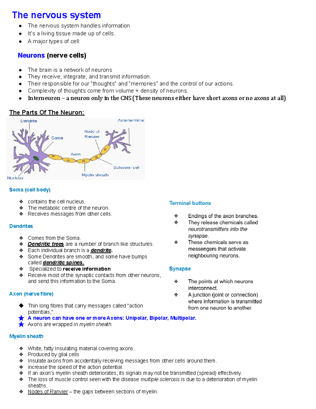 Psychology Chapter 3 Study notes - The nervous system The nervous ...