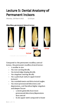Lecture 3.2 Anatomical landmarks of the crown II - Crown depressions ...