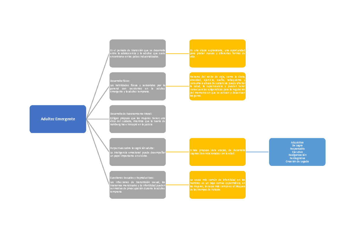 Cuadro Conceptual adultez emergente - Psicologia del Aprendizaje ...