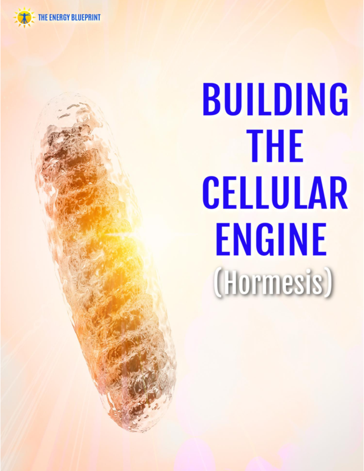 Energy Blueprint Masterclass Building the Cellular Engine - ‘ Here’s ...
