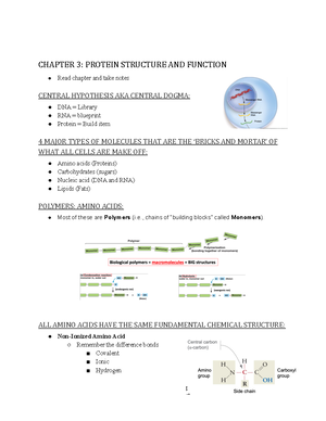 Chapter 7 Notes - Studocu