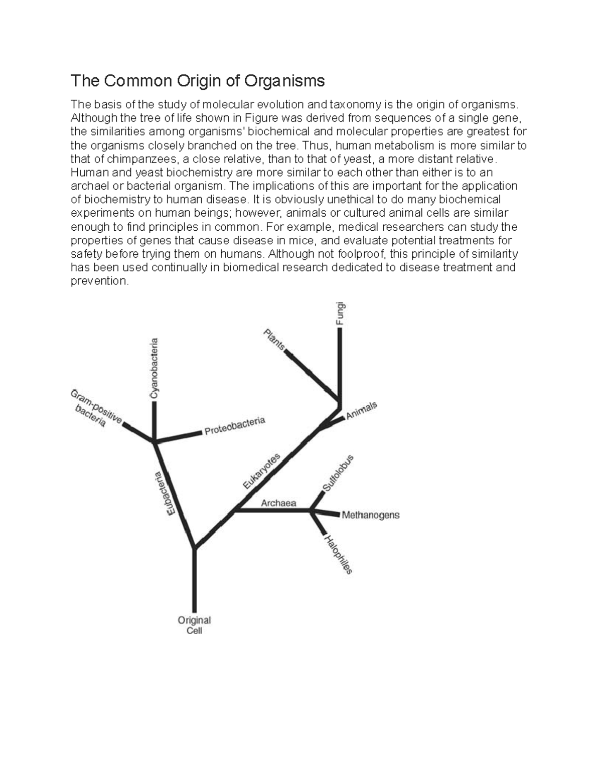 8The Common Origin of Organisms - Although the tree of life shown in ...