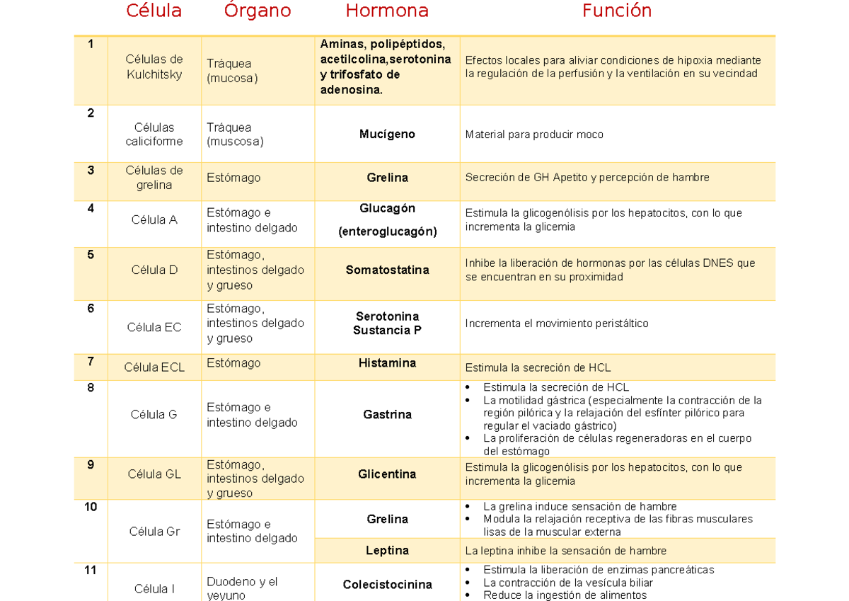 Tabla de celulas endocrinas - Célula Órgano Hormona Función 1 Células ...