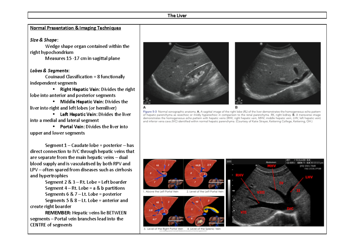 MEDS12002 - 4 - Liver - The Liver Normal Presentation Imaging ...
