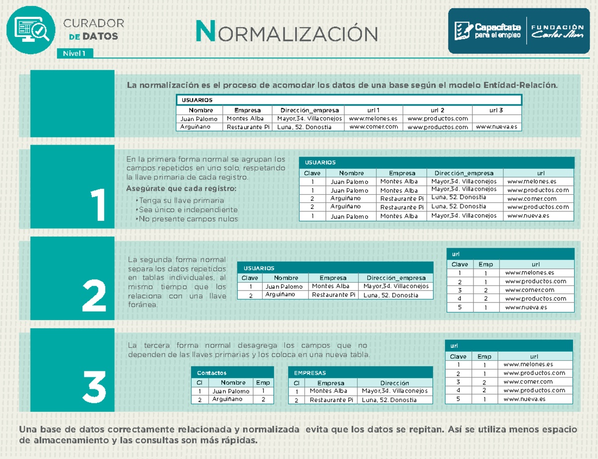 Normalización - Pequeña explicación - CURADOR DE DATOS ####### Ni vel 1 ...