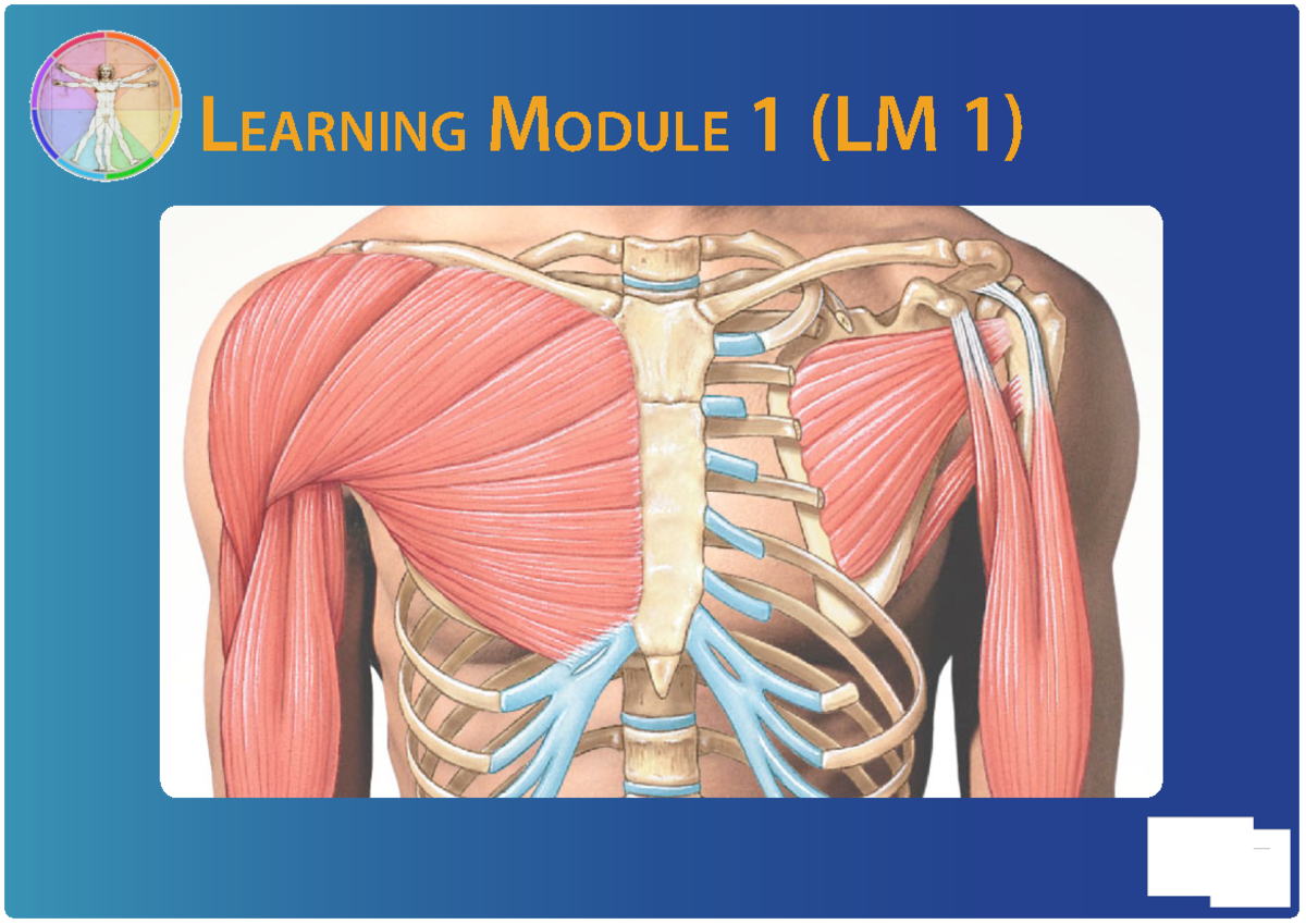 HUBS191 - Learning Module 1 (2022) - LEARNING MODULE 1 (LM 1) BY THE ...