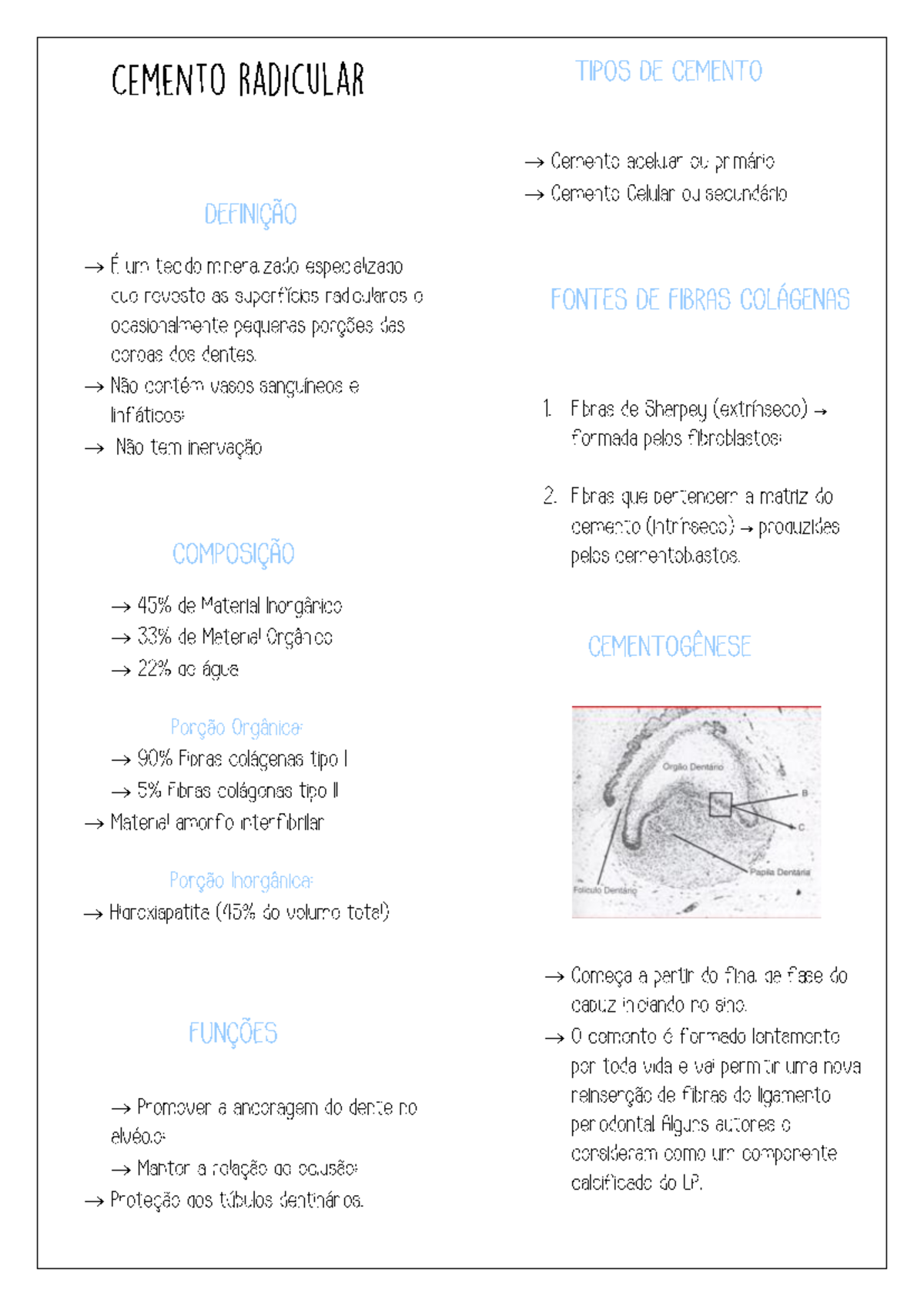 Cemento radicular - Resumo - CEMENTO RADICULAR TIPOS DE CEMENTO Cemento ...
