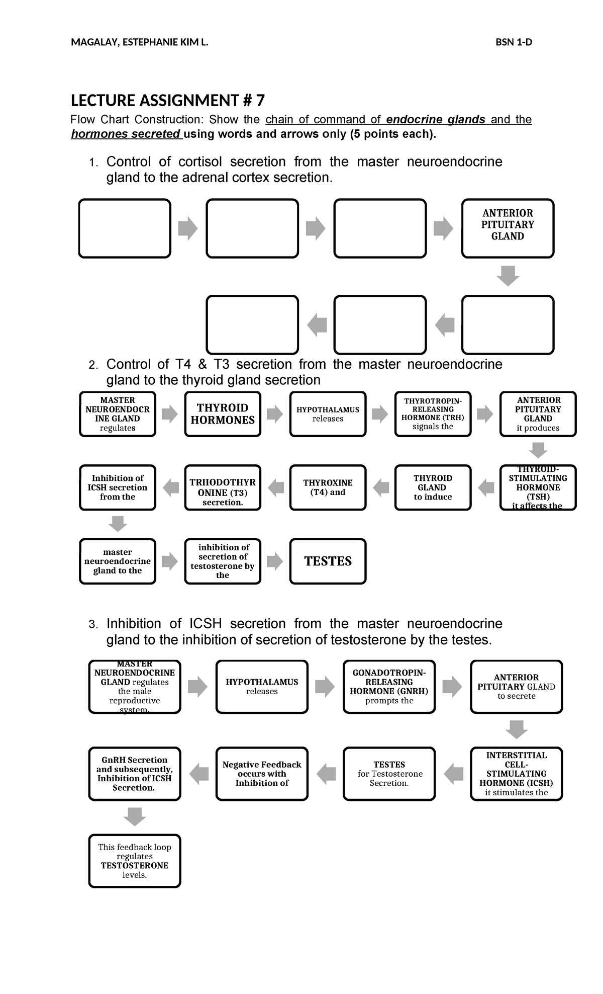 1 Lecture Assignment 7 Magalay Estephanie Kim L Bsn 1 D Lecture Assignment 7 Flow Chart