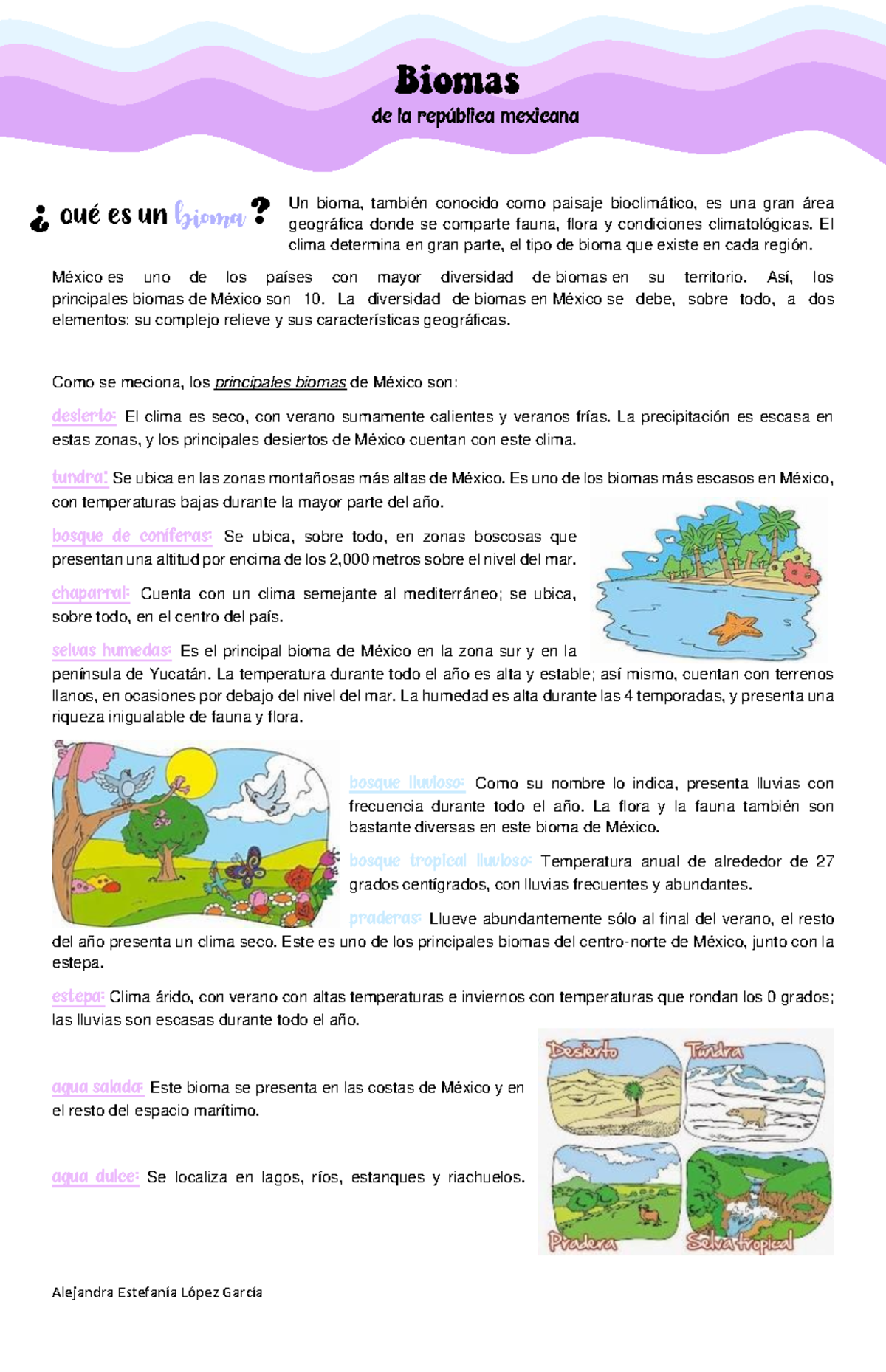 Biomas en méxico loga - Alejandra Estefanía López García Un bioma ...