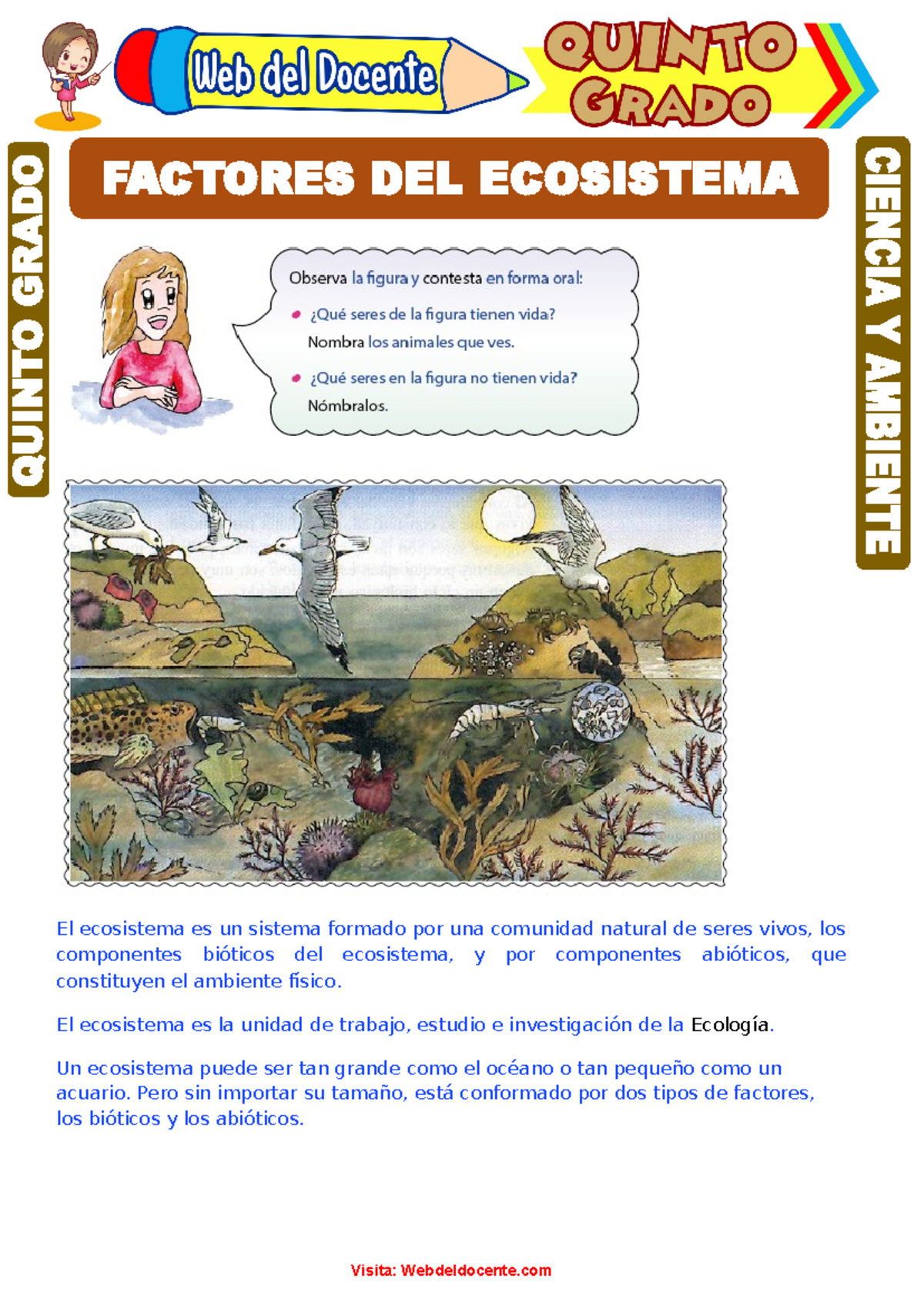 Factores del Ecosistema para Quinto Grado de Primaria - El ecosistema es un sistema formado por ...