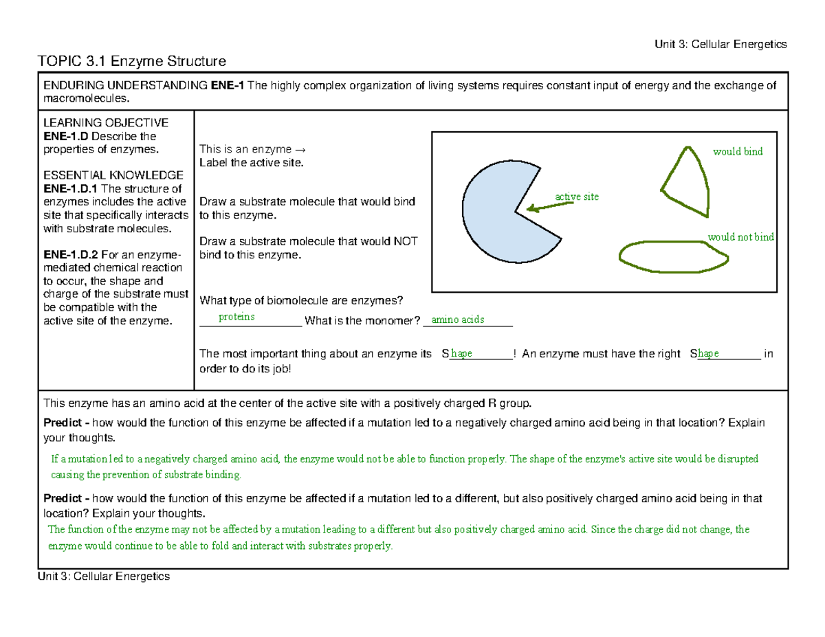 Elizabeth Kim Unit 3 Cellular Energetics - Unit 3: Cellular Energetics ...