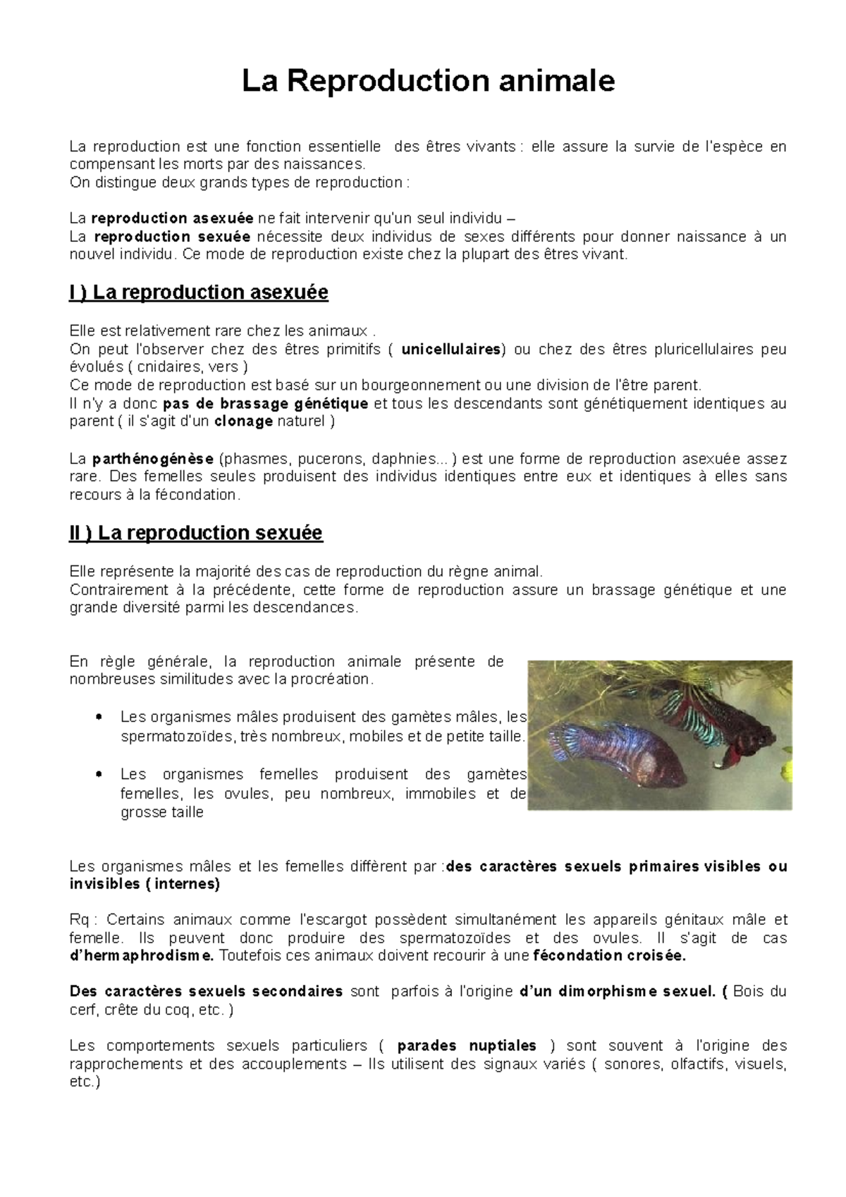 Reproduction Animale - SVT (cous de sciences) - La Reproduction animale ...