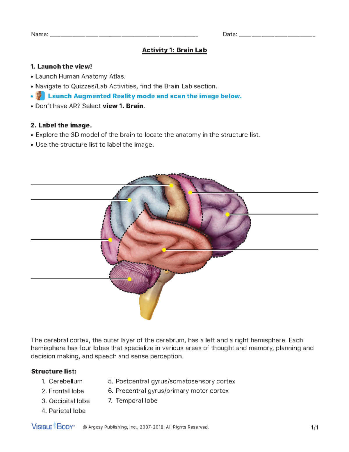 Brain-lab-activity - brain lab - © Argosy Publishing, Inc., 2007-2018 ...