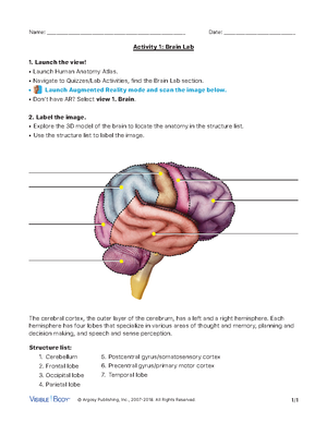 NUR213-Concept Map - concept map for end of term project for multiple ...