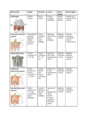 Foot Anatomy table - Foot Origin Insertion Action Nerve Blood supply ...