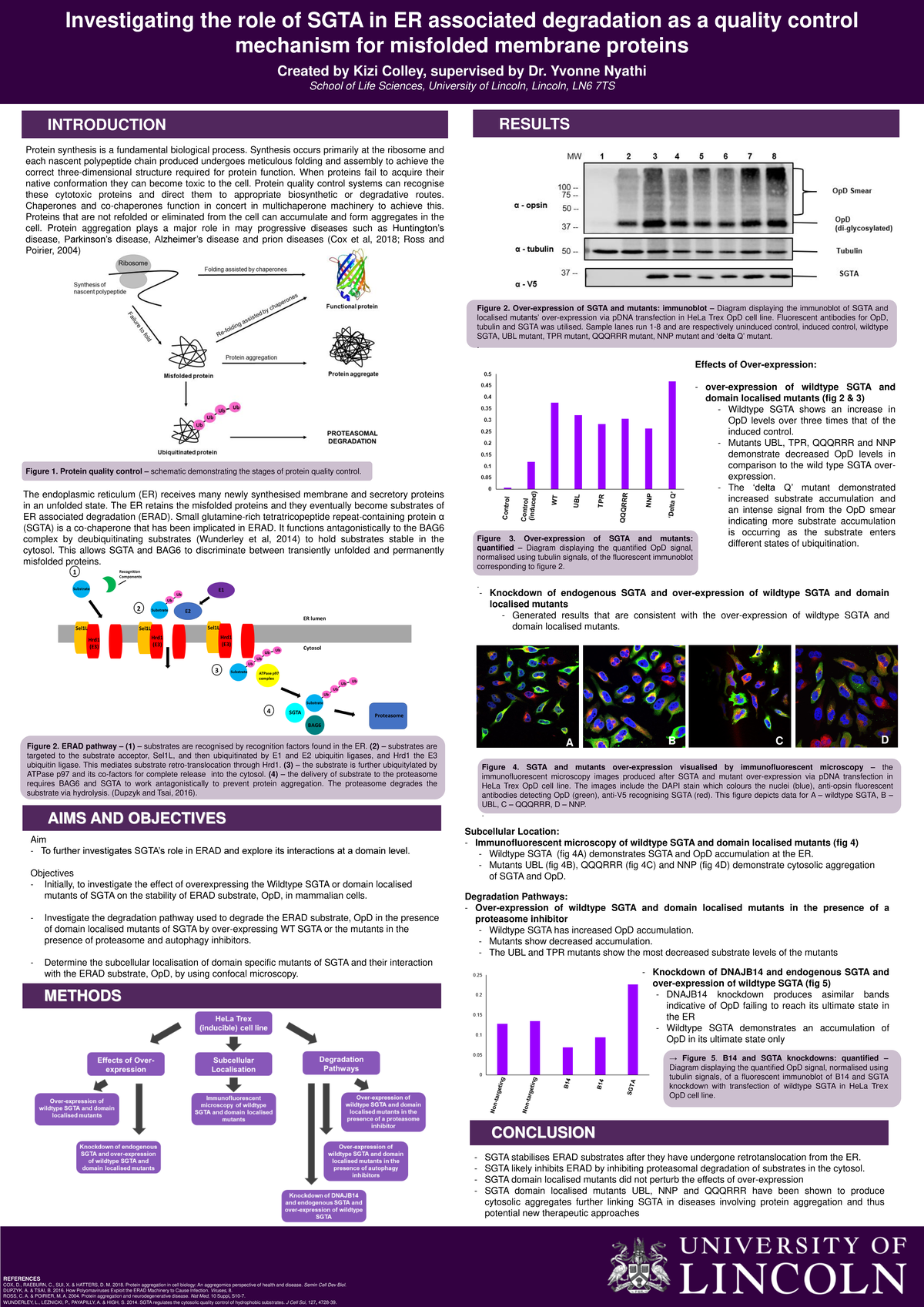 Final diss poster(Biochem) - Investigating the role of SGTA in ERAD ...