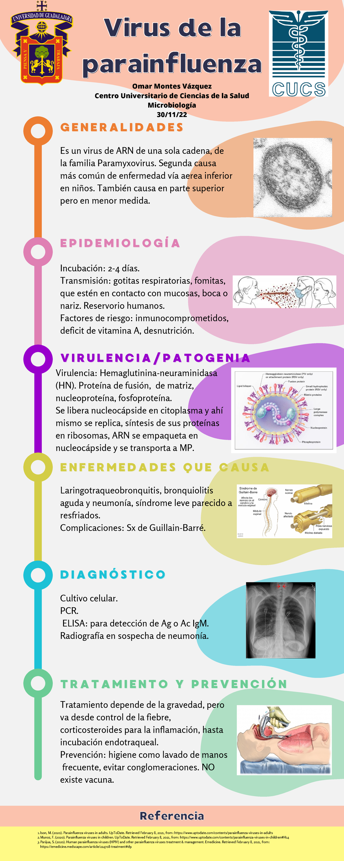 Virus de la parainfluenza - Virus de laVirus de la parainfluenza ...
