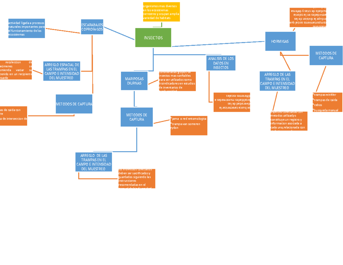 1 mapa conceptual aves, brayan sanchez - organismos mas diversos en los ecosistemas terrestres y ...