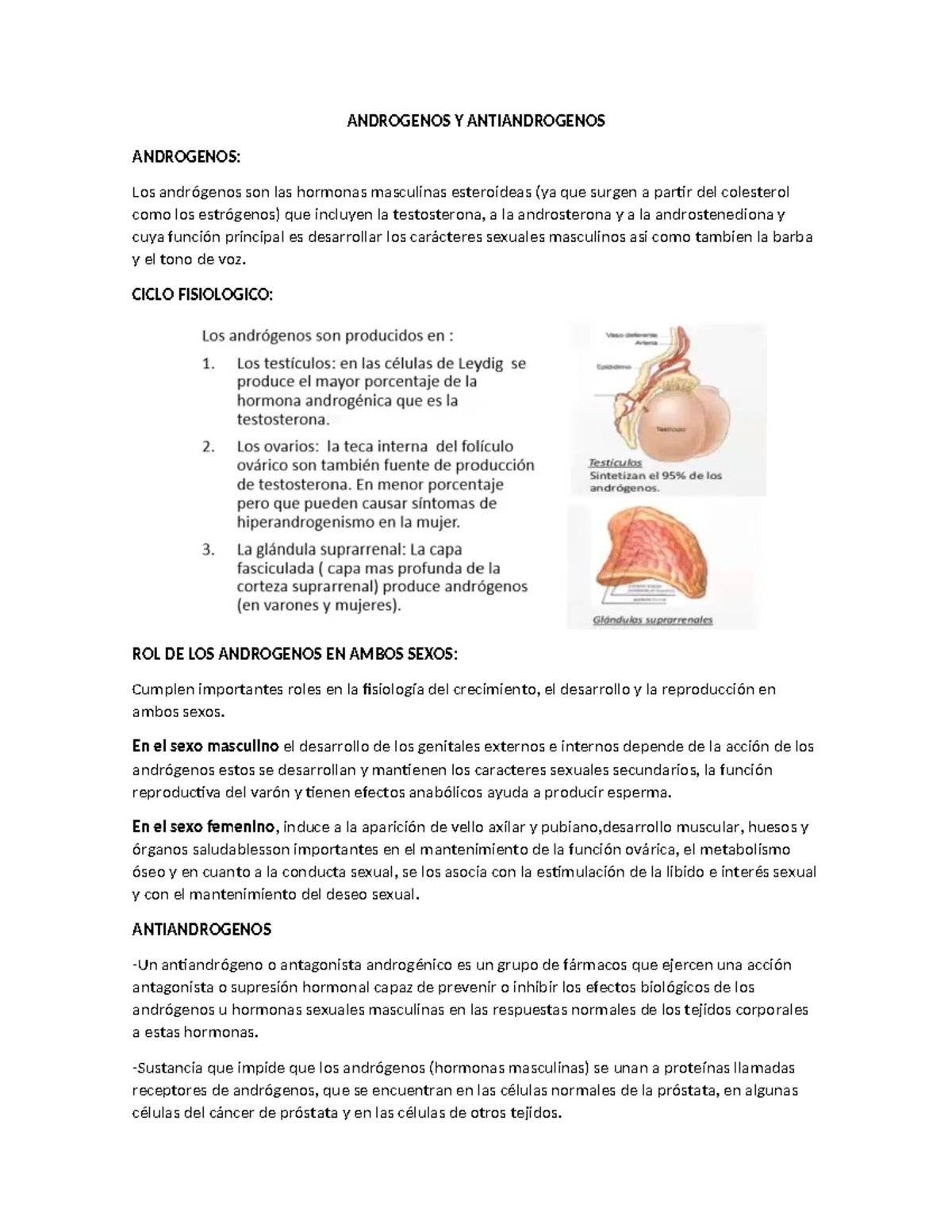 Androgenos Y Antiandrogenos (1) - ANDROGENOS Y ANTIANDROGENOS ...