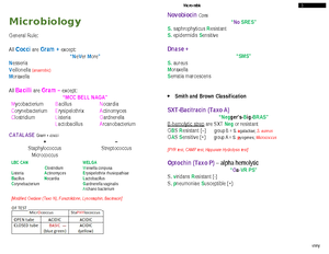 Clinical Bacte Workup - asdfasdf - bile esculin ( staph, strep, AEROBIC ...