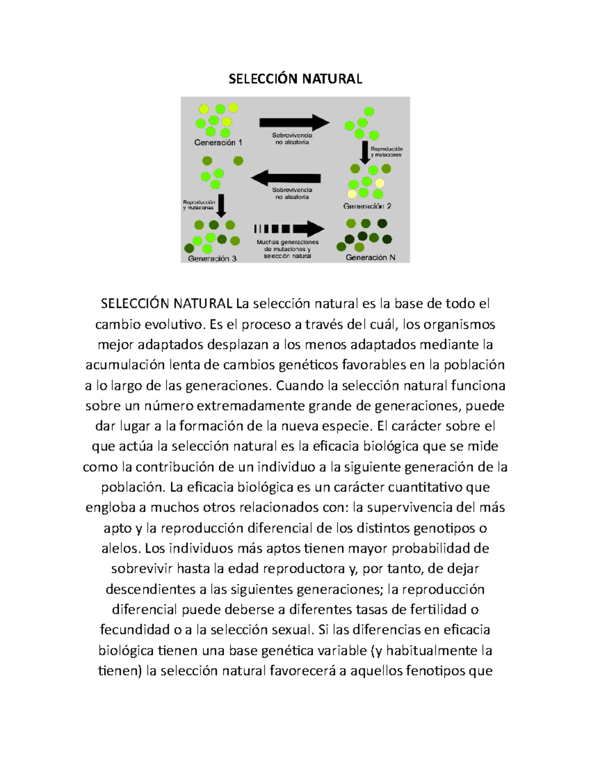 Biología evolutiva - SELECCIÓN NATURAL SELECCIÓN NATURAL La selección ...