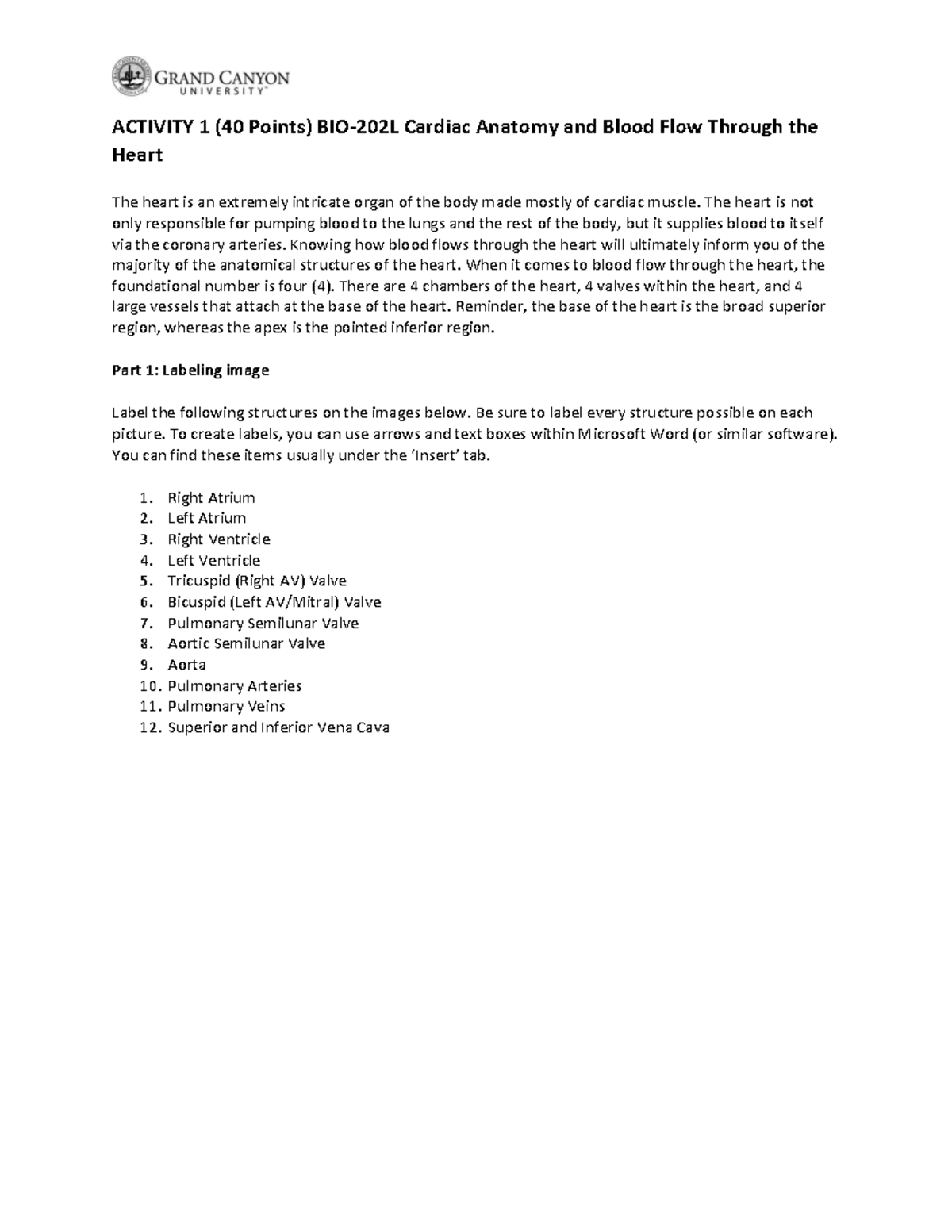 BIO-202L Activity 1 - assignmeny - ACTIVITY 1 (40 Points) BIO-202L ...