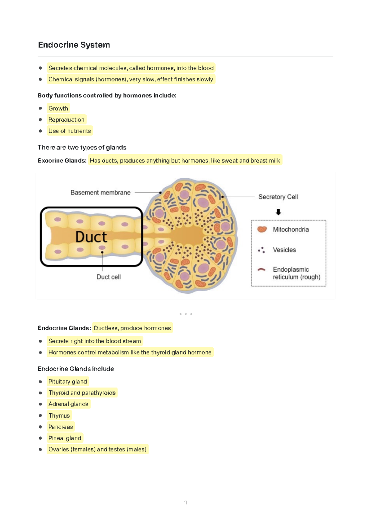 Endocrine System - Endocrine System Secretes chemical molecules, called ...