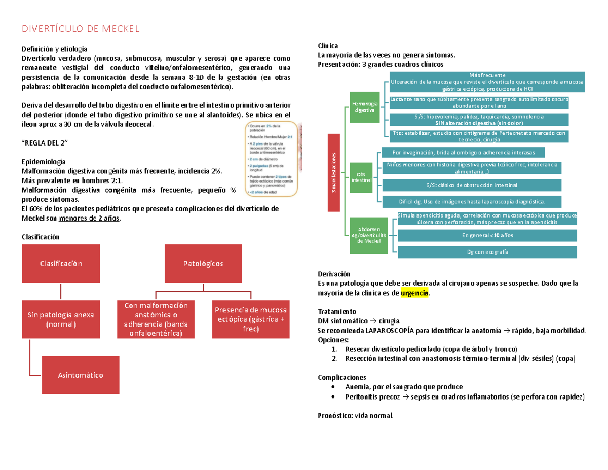 Meckel e invaginación intestinal - DIVERTÕCULO DE MECKEL DefiniciÛn y ...