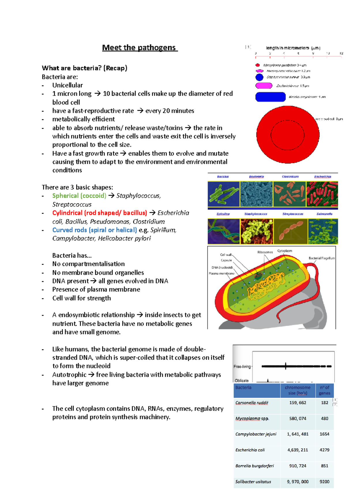Meet the pathogens - Lecture notes lecture 1 - Meet the pathogens What ...