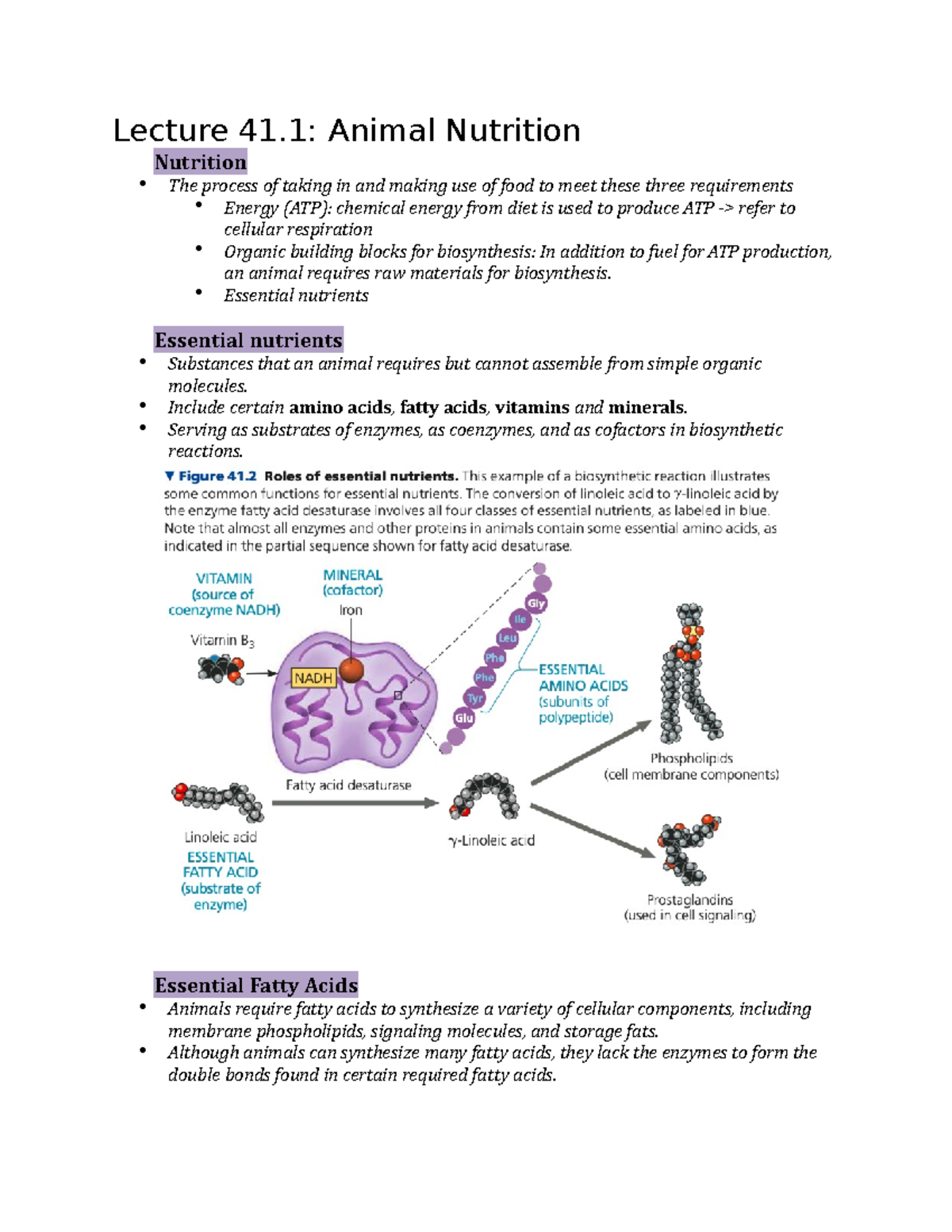 Chapter 41 part 1 - Lecture 41: Animal Nutrition Nutrition The process of taking in and making ...