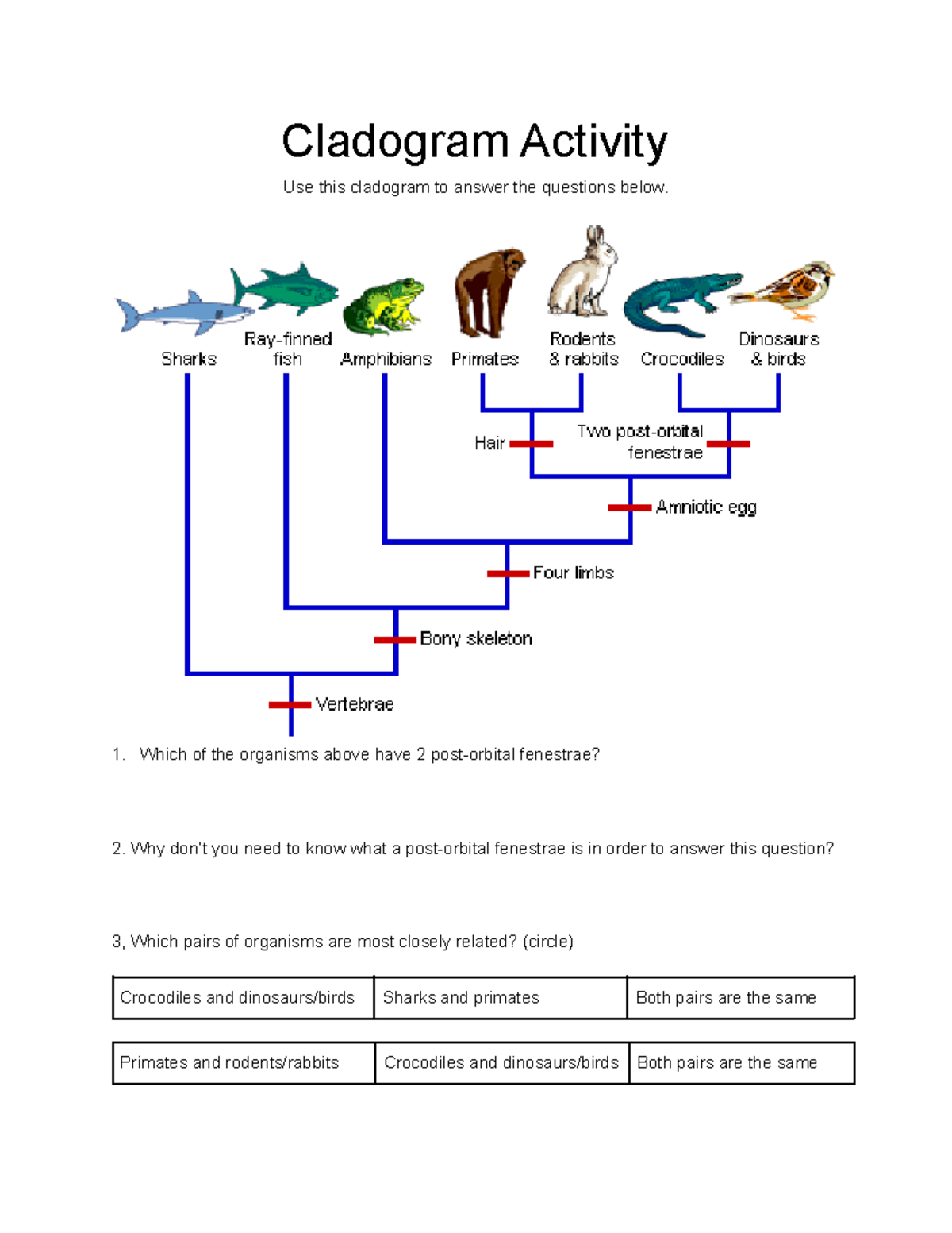 C190.v3 module 21 cladogram activity - C-190 - Cladogram Activity Use ...