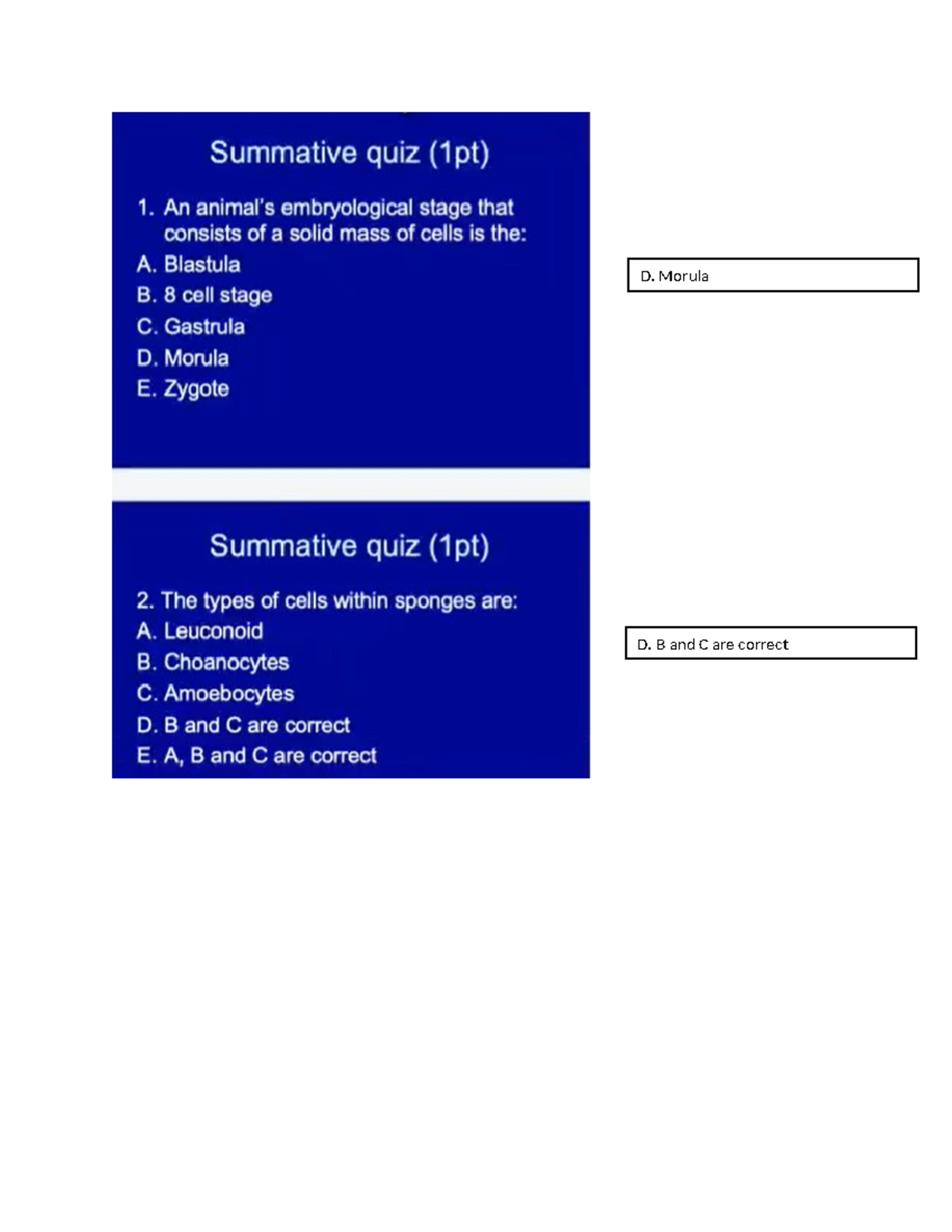 Summative Quiz 3 - BSC 1011 - D. Morula D. B and C are correct B. A ...