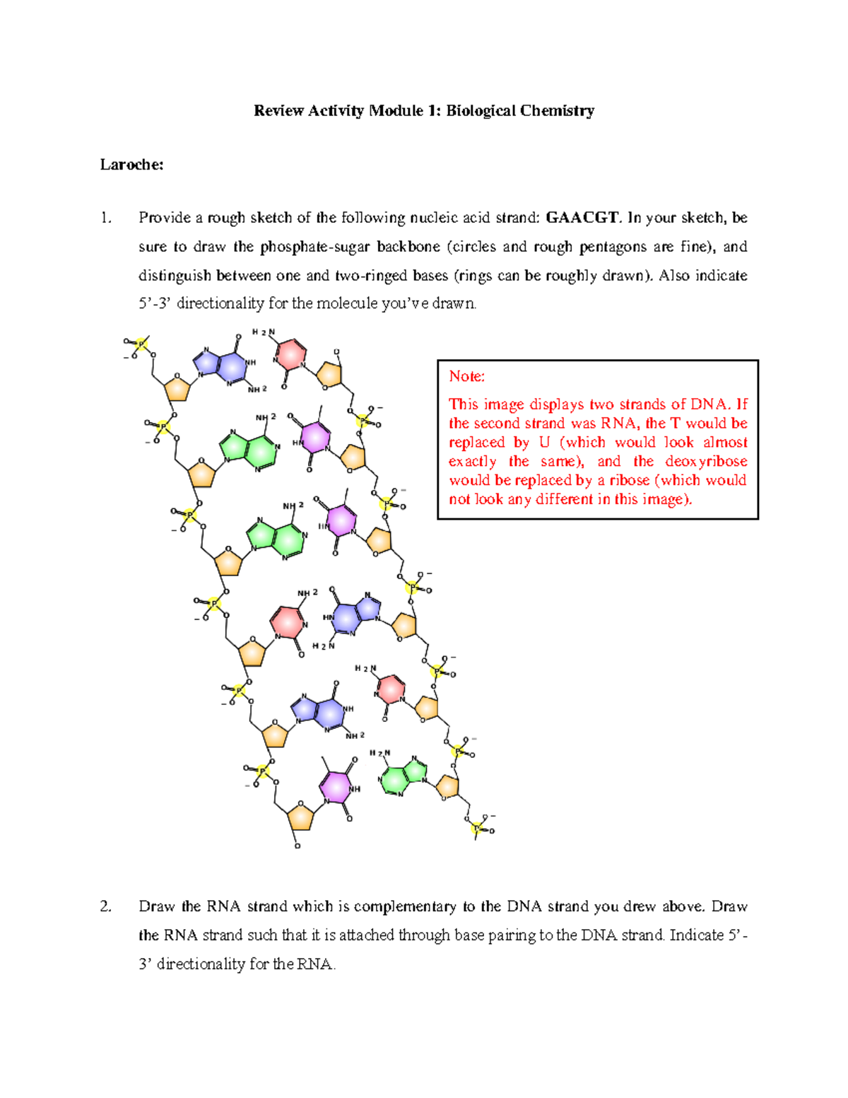 Biological Chemistry Module Review Answers 01 - Review Activity Module ...