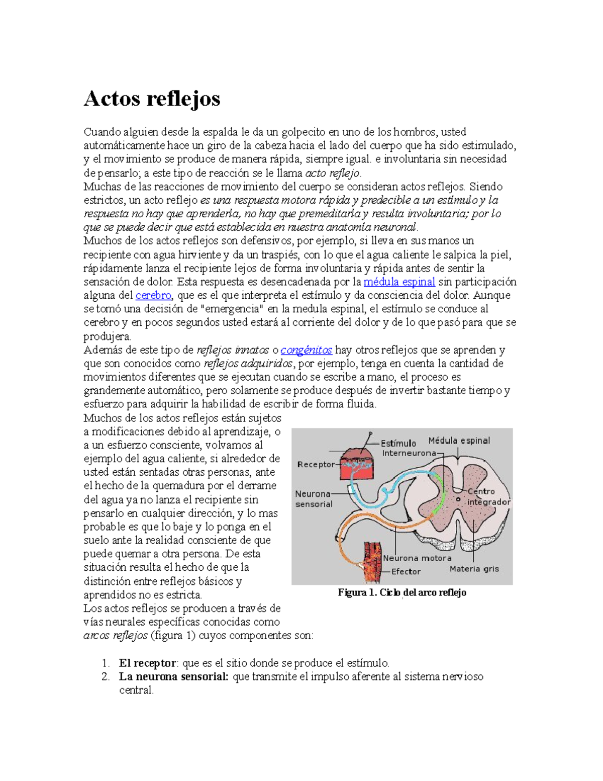 Actos reflejos - Actos reflejos Cuando alguien desde la espalda le da un golpecito en uno de los ...