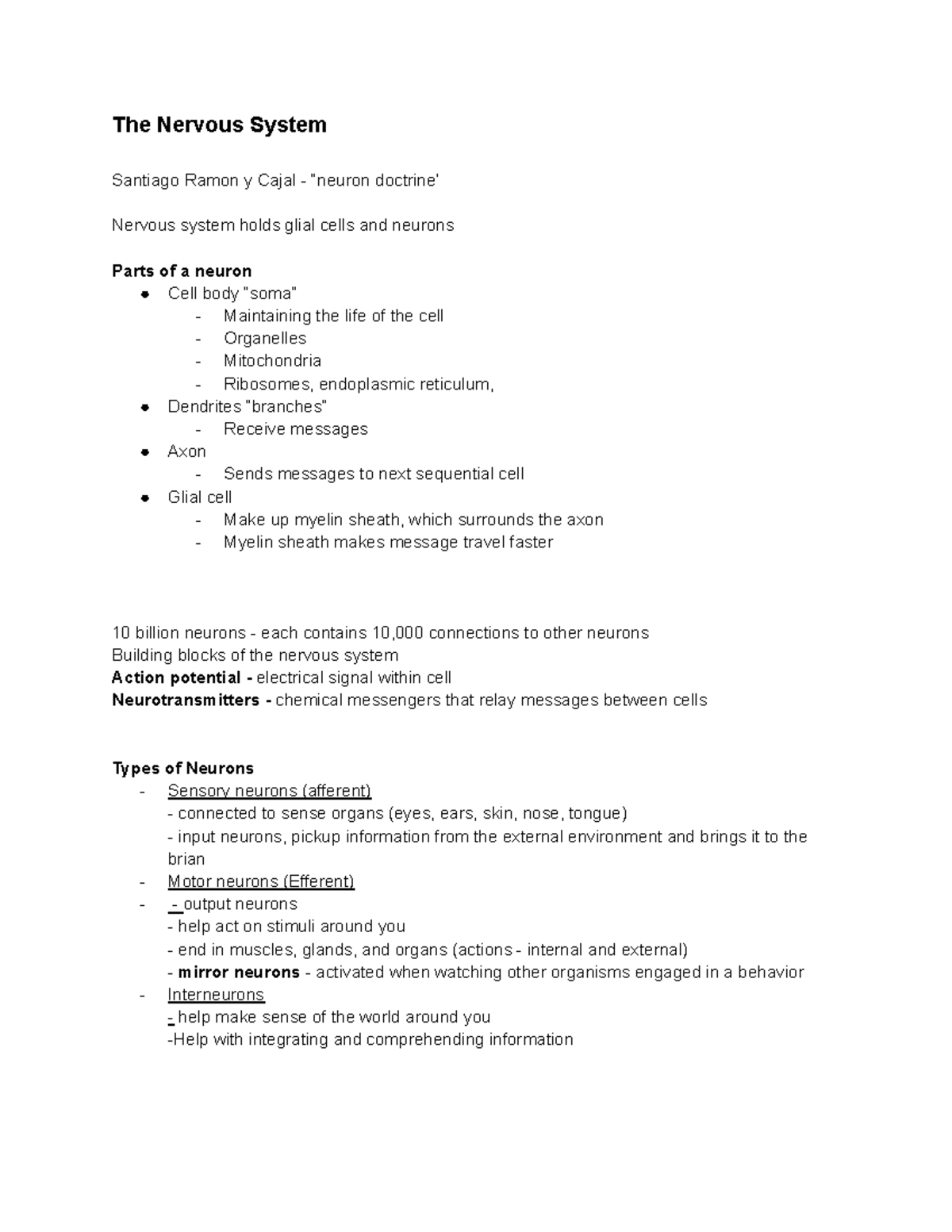 The nervous system - The Nervous System Santiago Ramon y Cajal ...