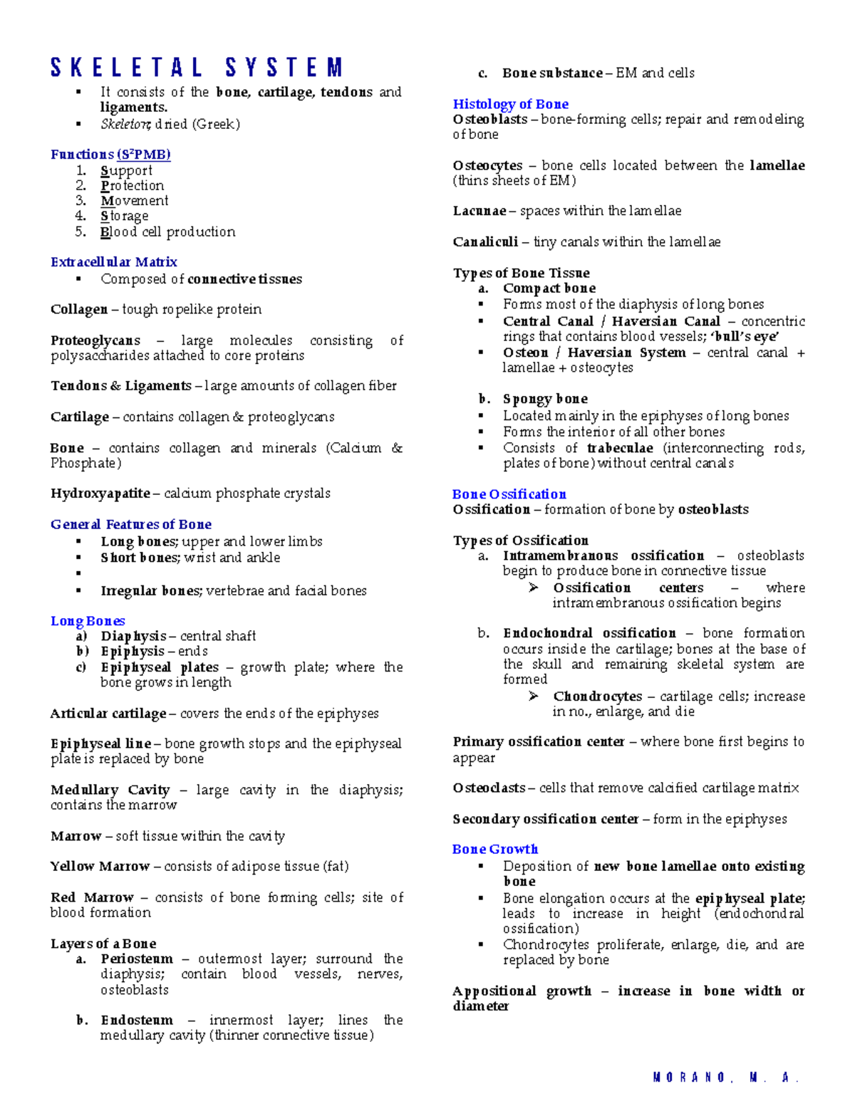 Skeletal-System - S K E L E T A L S Y S T E M § It consists of the bone ...