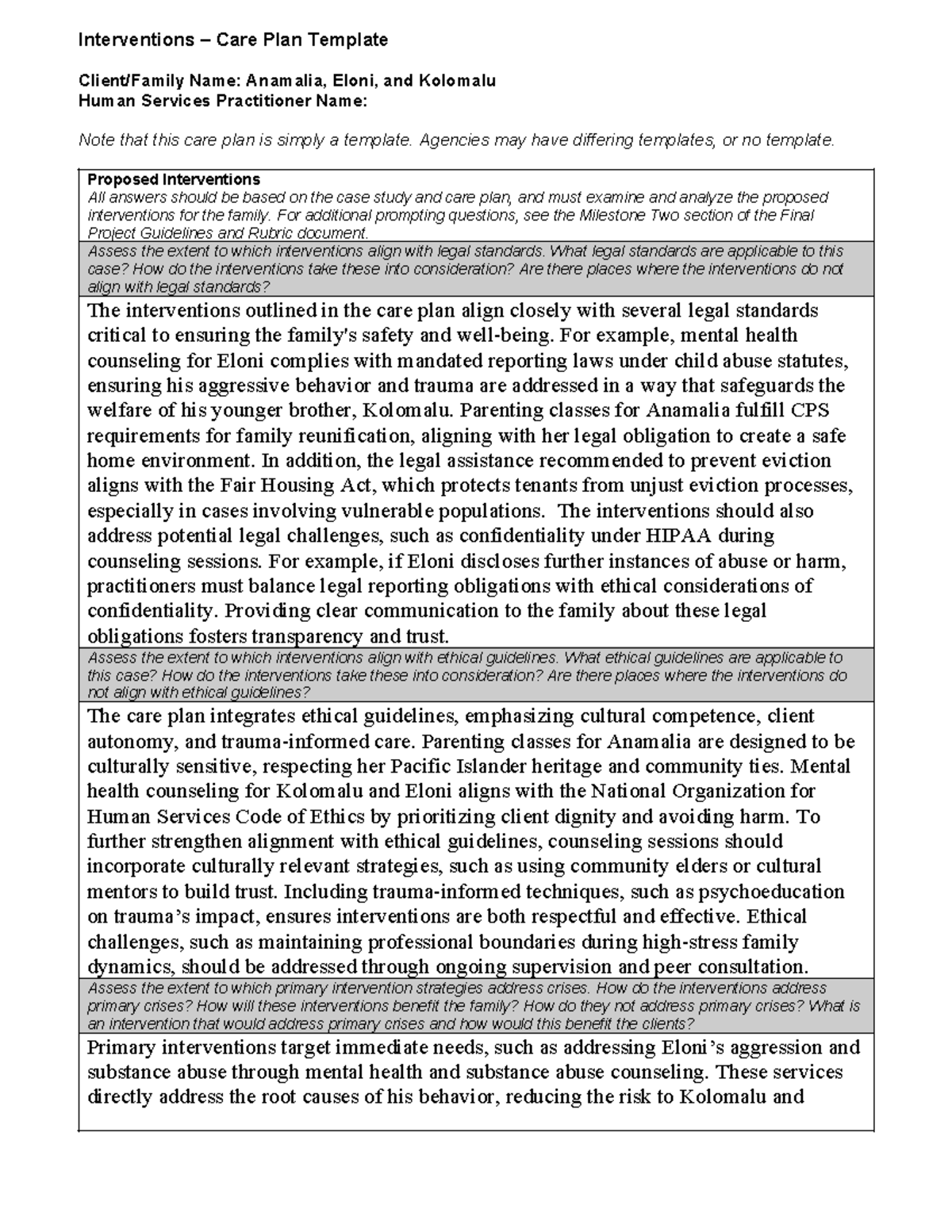 HSE 315 Interventions Care Plan - Interventions – Care Plan Template ...