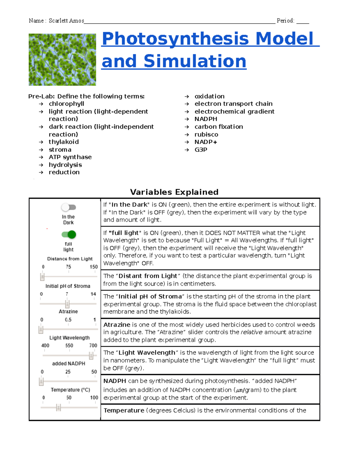 Assinment Photosynthesis Model and Simulation 2022 - Name : Scarlett ...