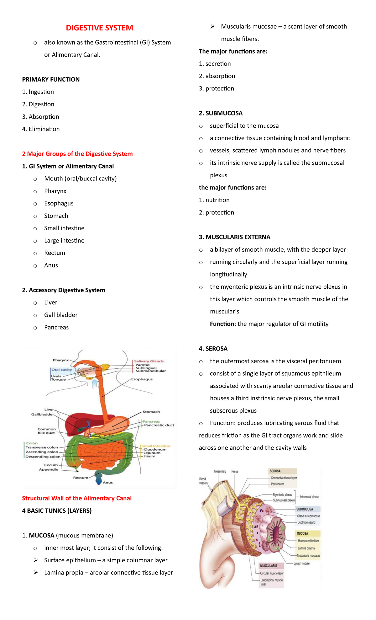 Digestive System. Reviewer - DIGESTIVE SYSTEM o also known as the ...
