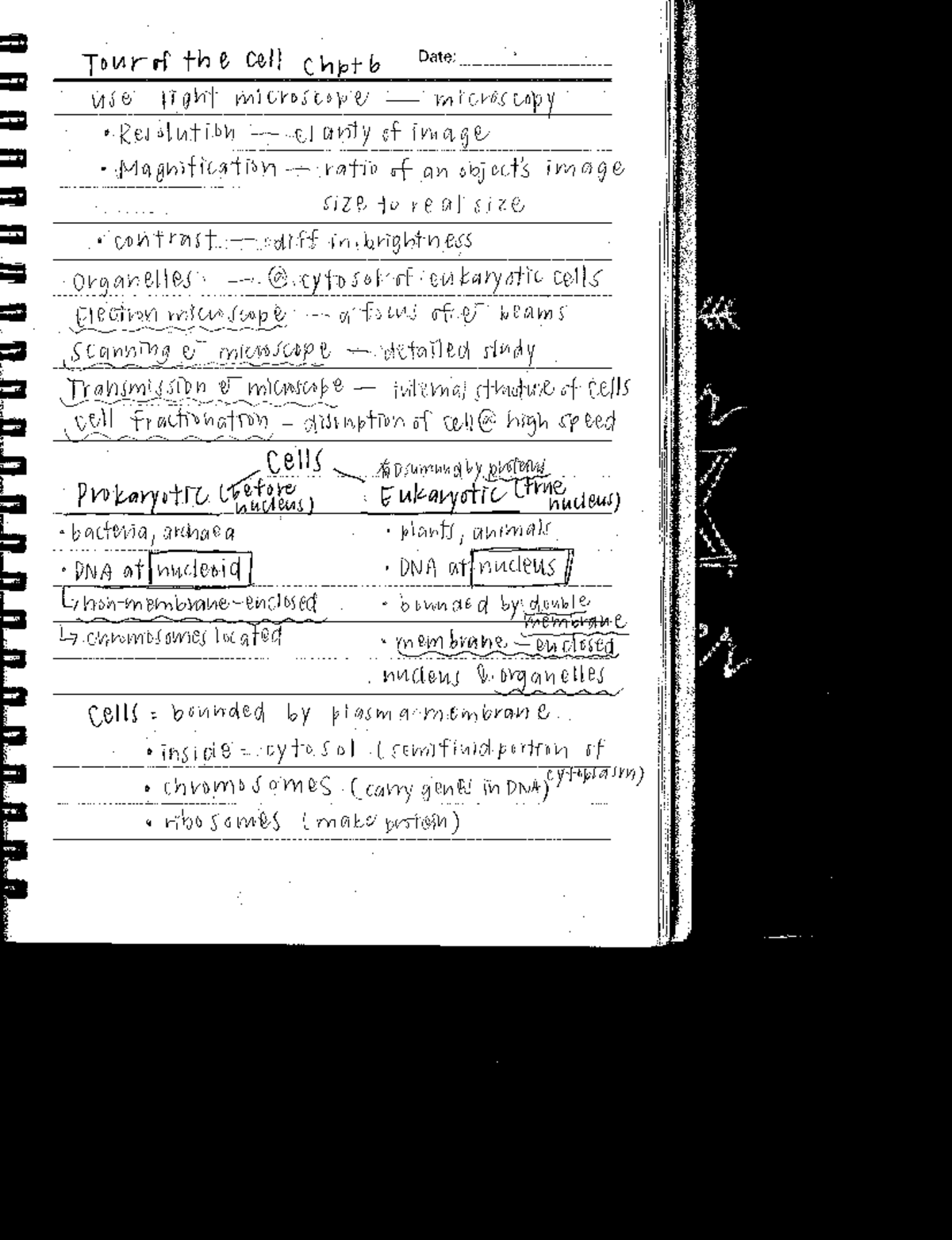 Chapt 6 notes - Intro to cells - BIOL_SCI 201 - Studocu