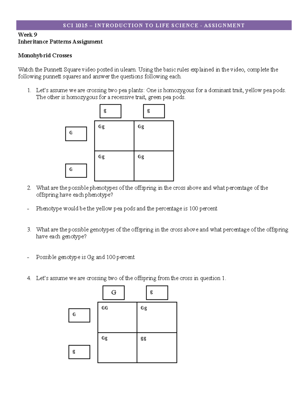 SCI1015 Punnett Squares - Week 9 SCI 1015 – INTRODUCTION TO LIFE ...