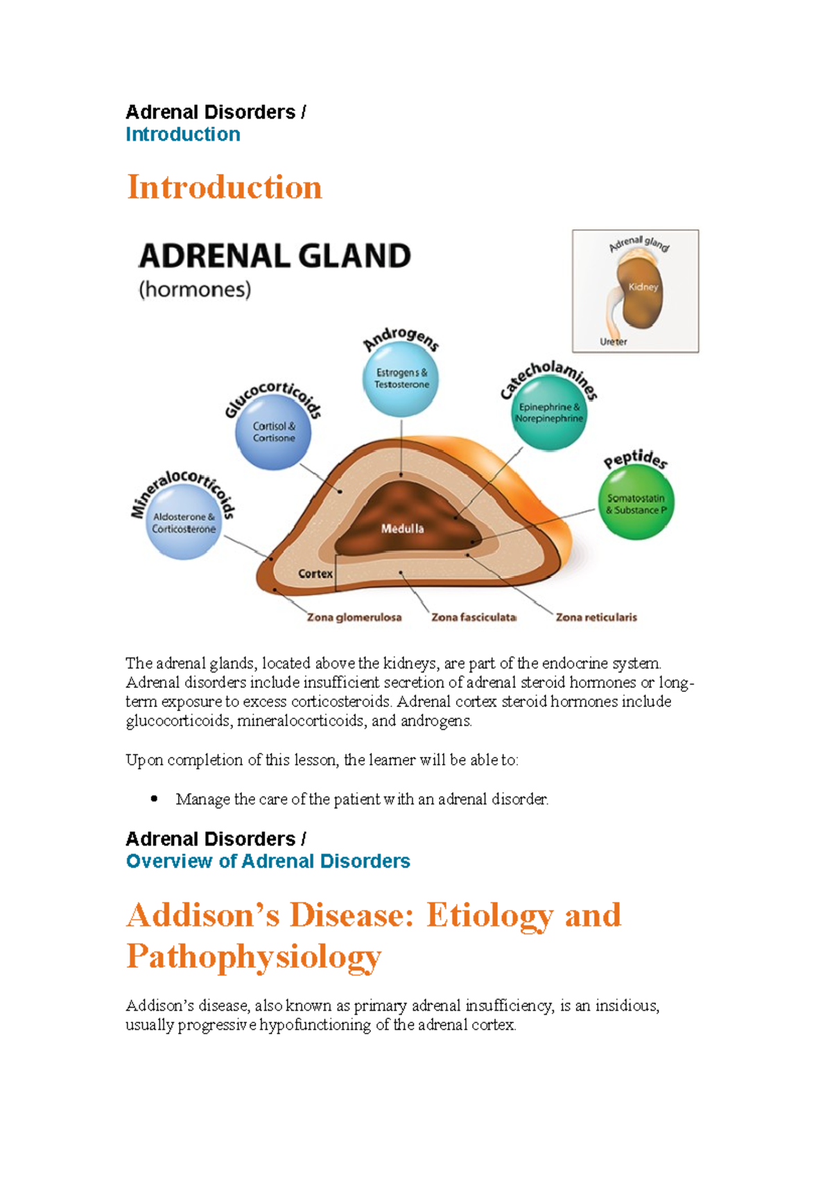 Adrenal Disorders - Sherpath - Adrenal Disorders / Introduction ...