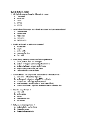 Describe Image Template 01 - APEUni Describe Image Template Template ...