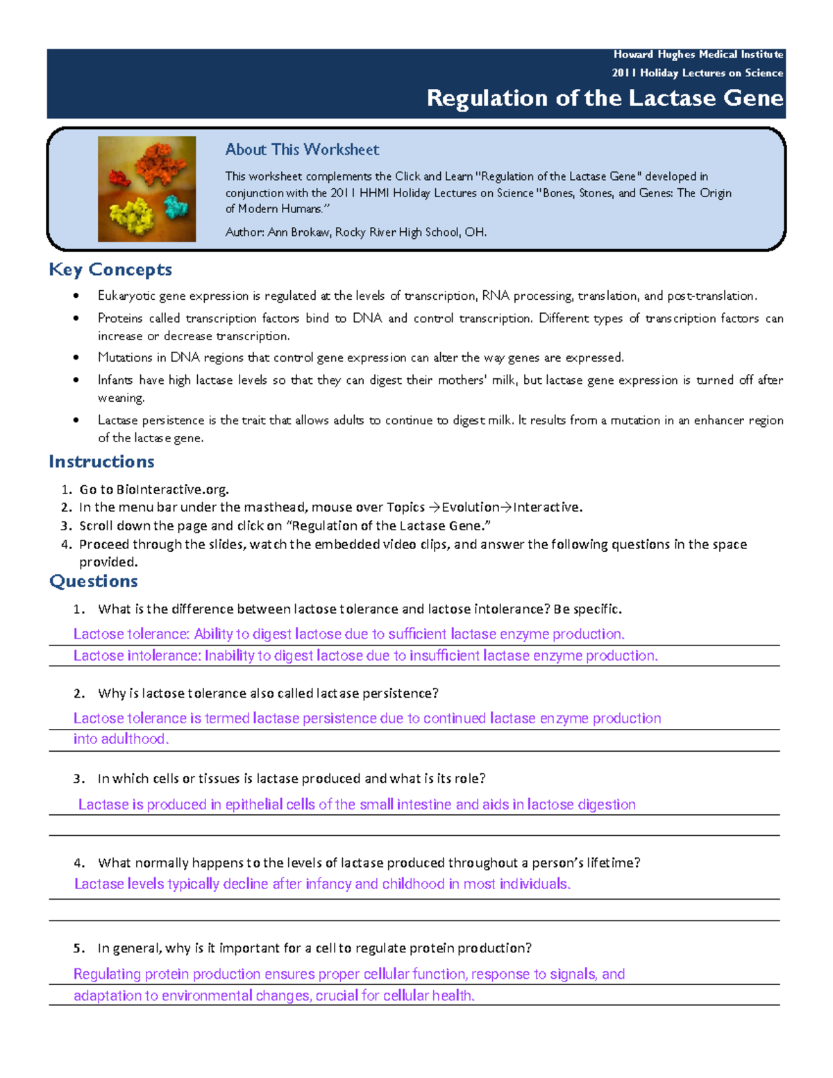 Kami Export - Olivia Darby - Regulation of Lactase Gene C&L - Howard ...