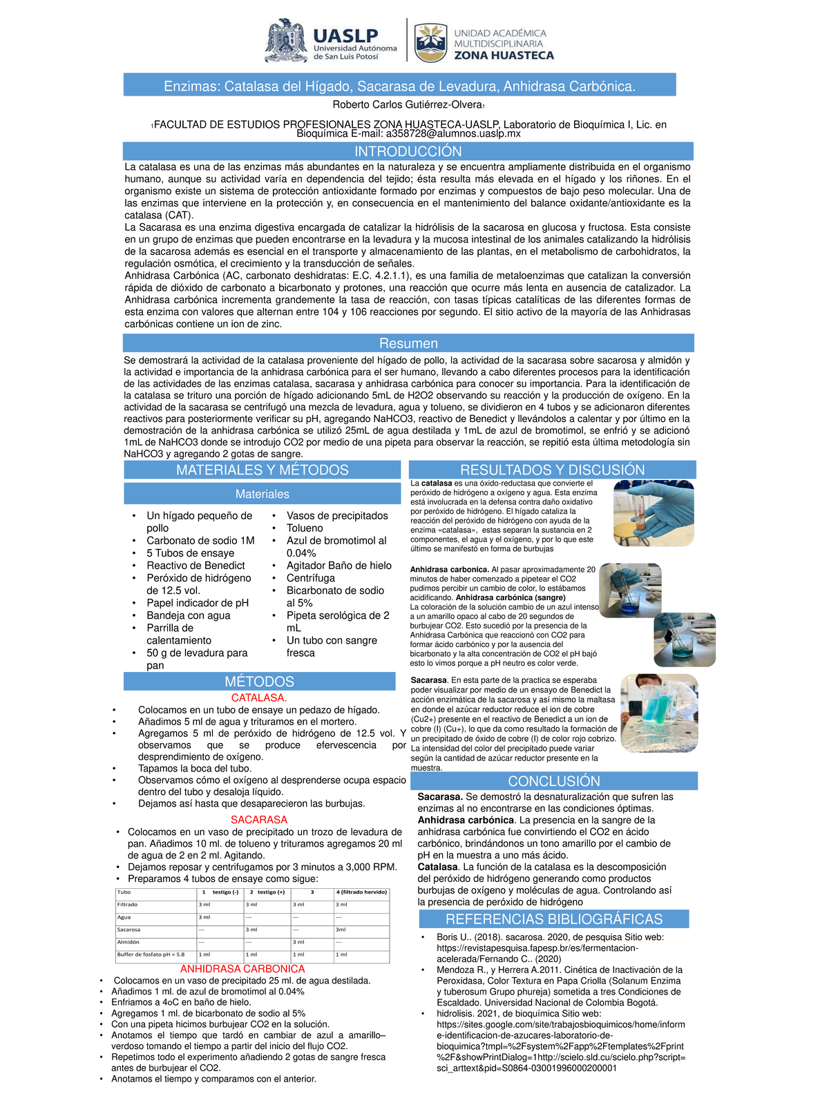 C2 Labbq - Enzimas: Catalasa del Hígado, Sacarasa de Levadura ...